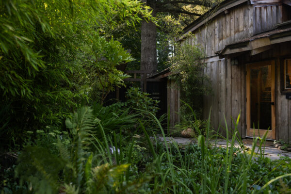 Booking Journeys & Treatments | Solace Organic Spa